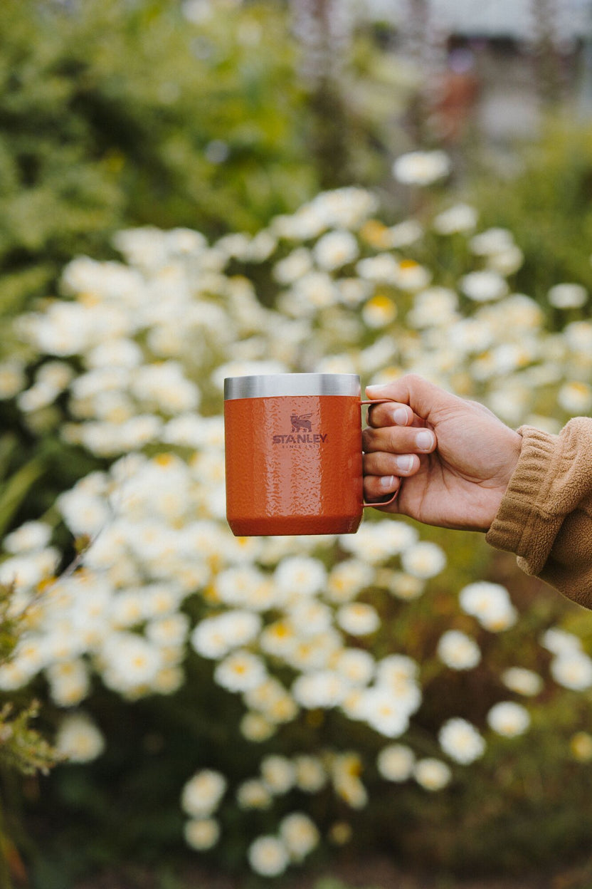 Stanley 1913 EU | Stainless Steel Flasks, Mugs, Coolers, Cookware